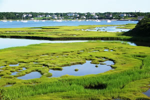 Association to Preserve Cape Cod | Preserving Nature for 50 Years