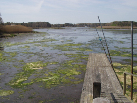 Three-Bays, Barnstable: Stormwater Management to Improve Water Quality ...