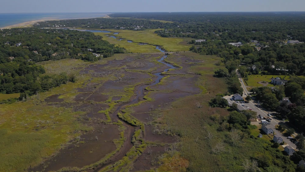 Achievements | Association to Preserve Cape Cod