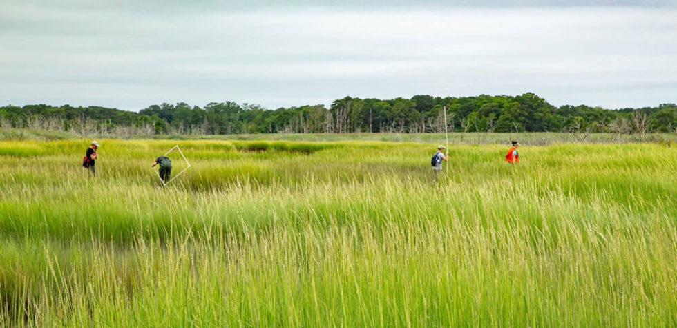 Who We Are | Association to Preserve Cape Cod